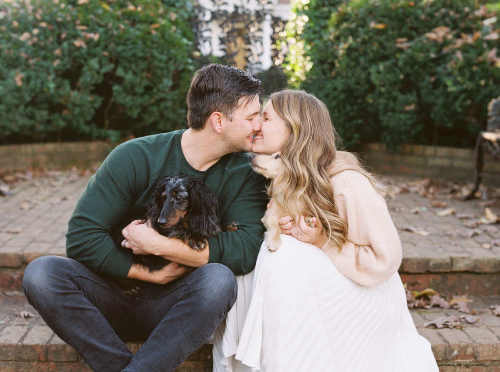 Merry Christmas from Laura Watson Photography! - Laura Watson Photography